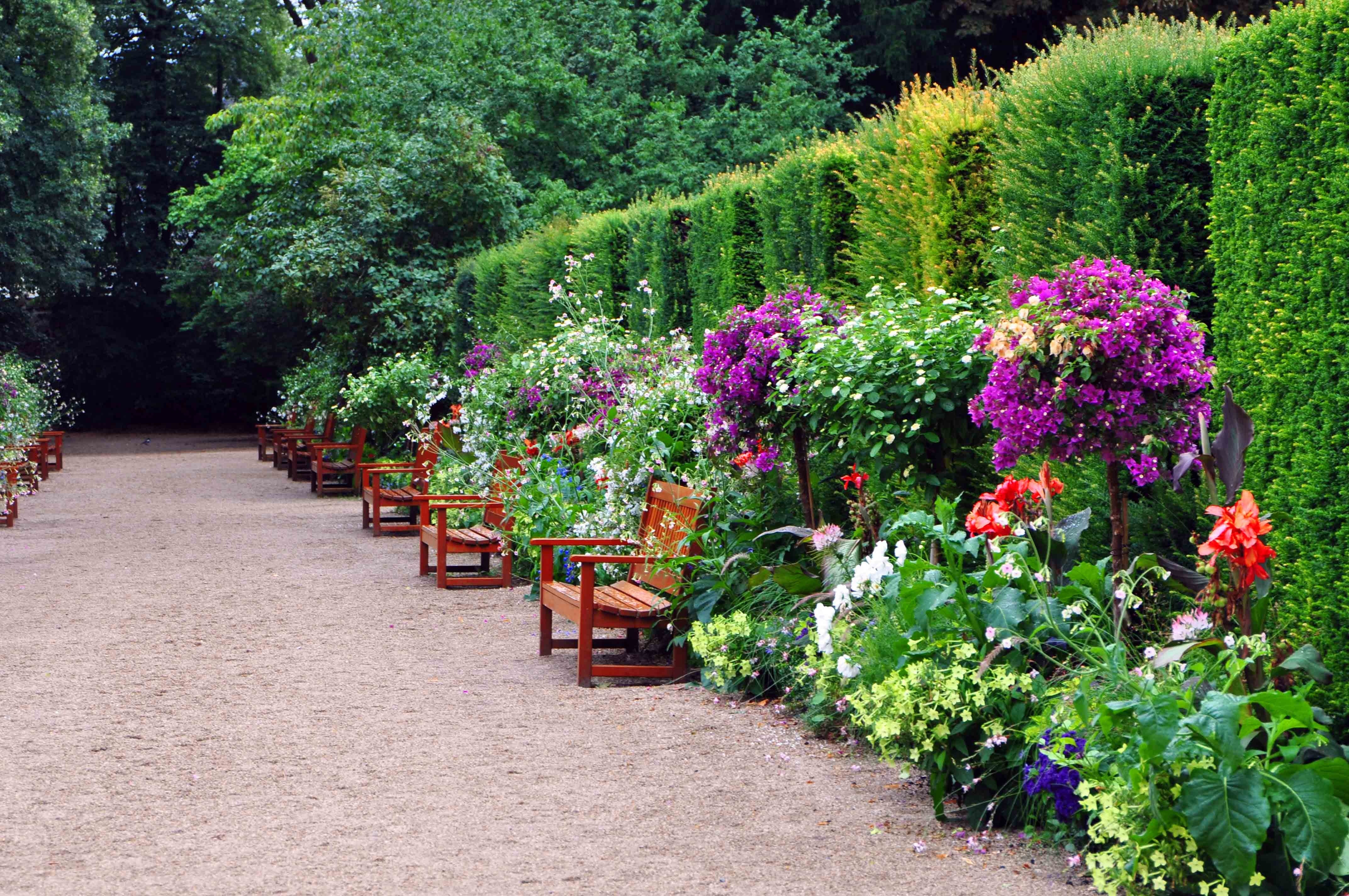Gardening ornamental plants and edible plants and fruits – The Sourcery