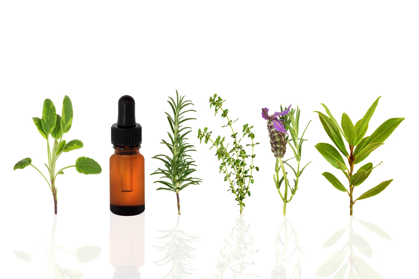 Ingredient Expertise in Skincare, Haircare, Soapmaking and Candles | T